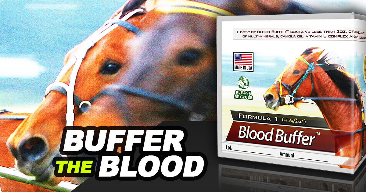 Blood Buffer™ Blood Gas Optimization Supplement for Horses